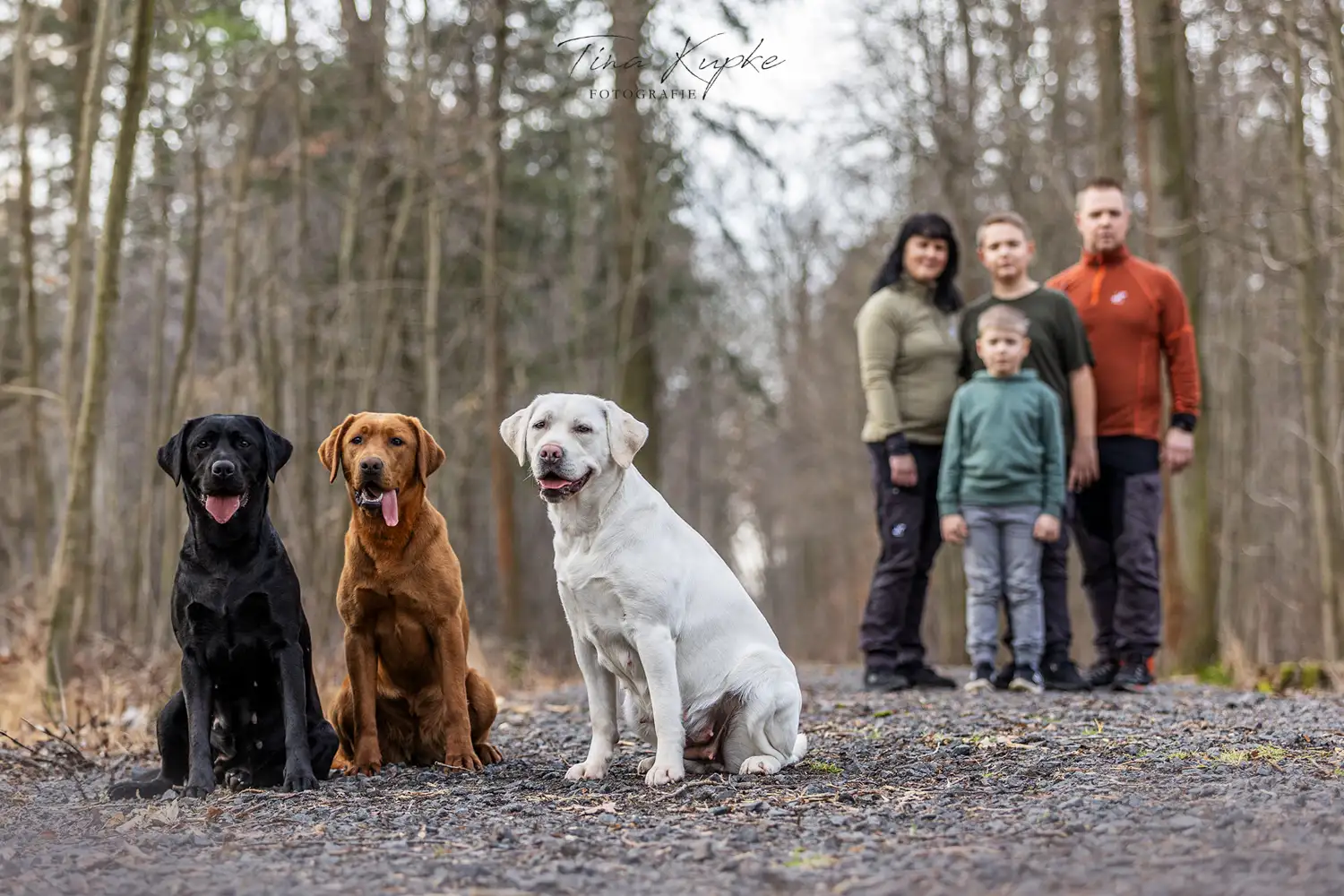 Wir hatten ein Fotoshooting! - Labradorzucht von Lehelitz